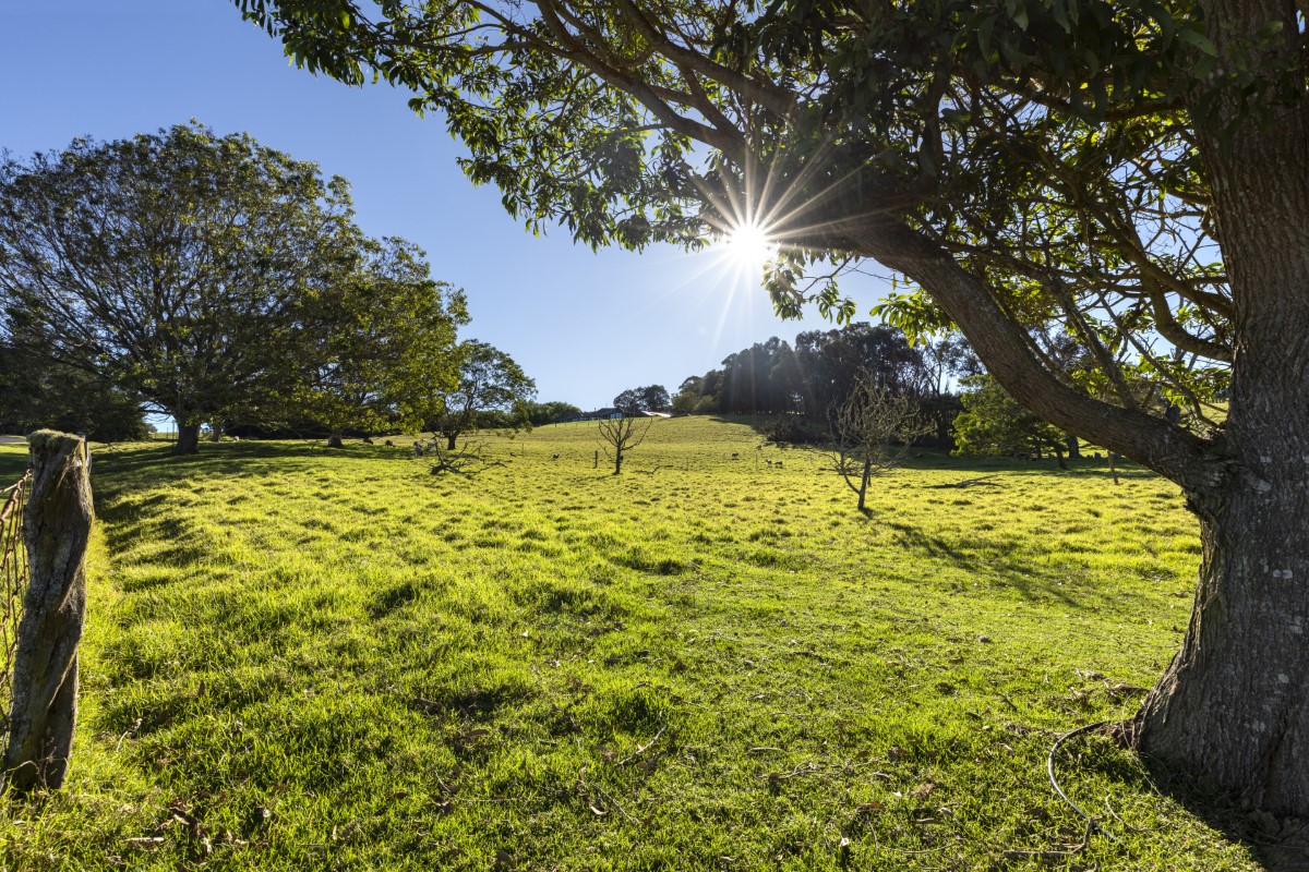 Extraordinary 10-Acre Parcel in Waikii Ranch - Hawaii Real Estate ...