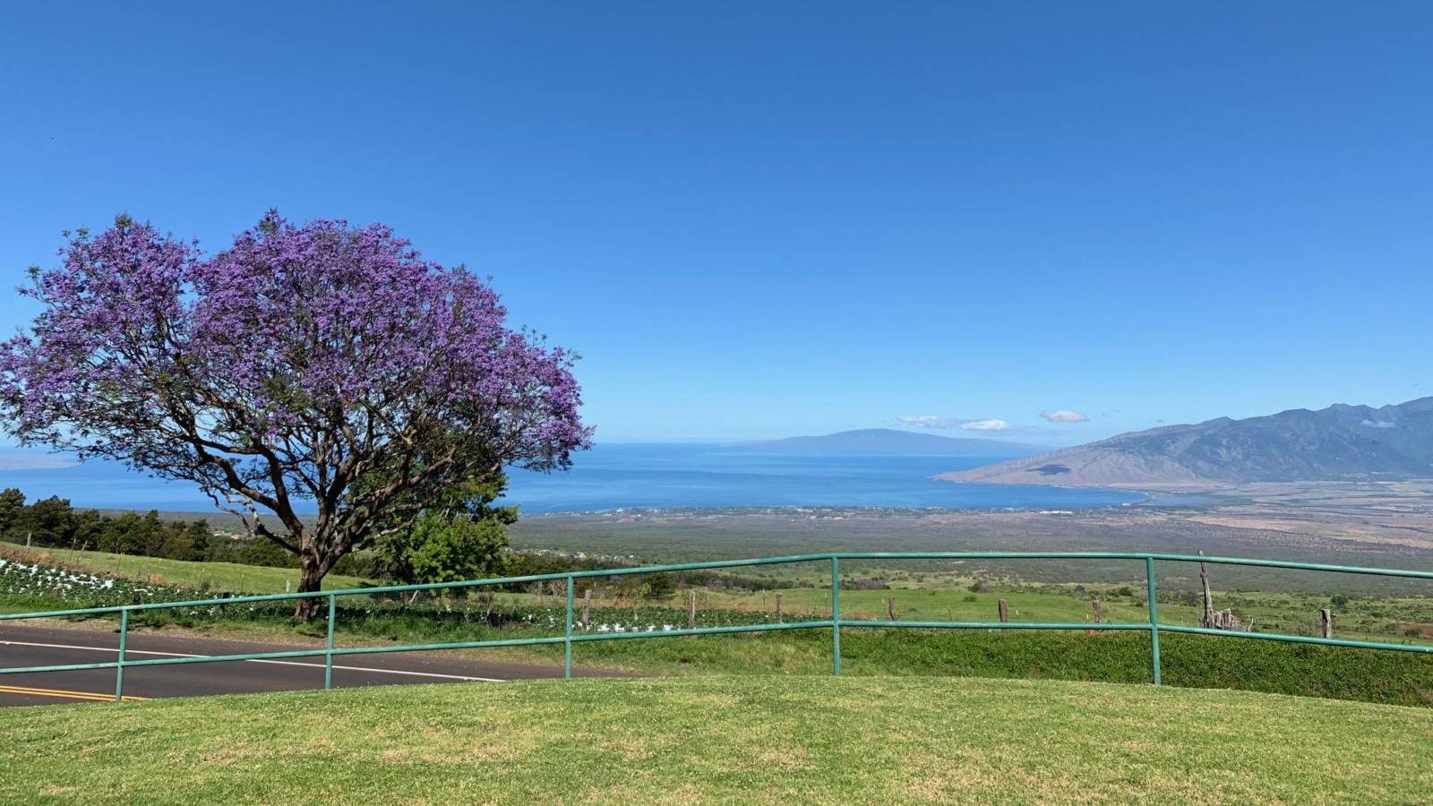 A Quick Guide to the Best of Kula: Part One of Two - Hawaii Real Estate ...