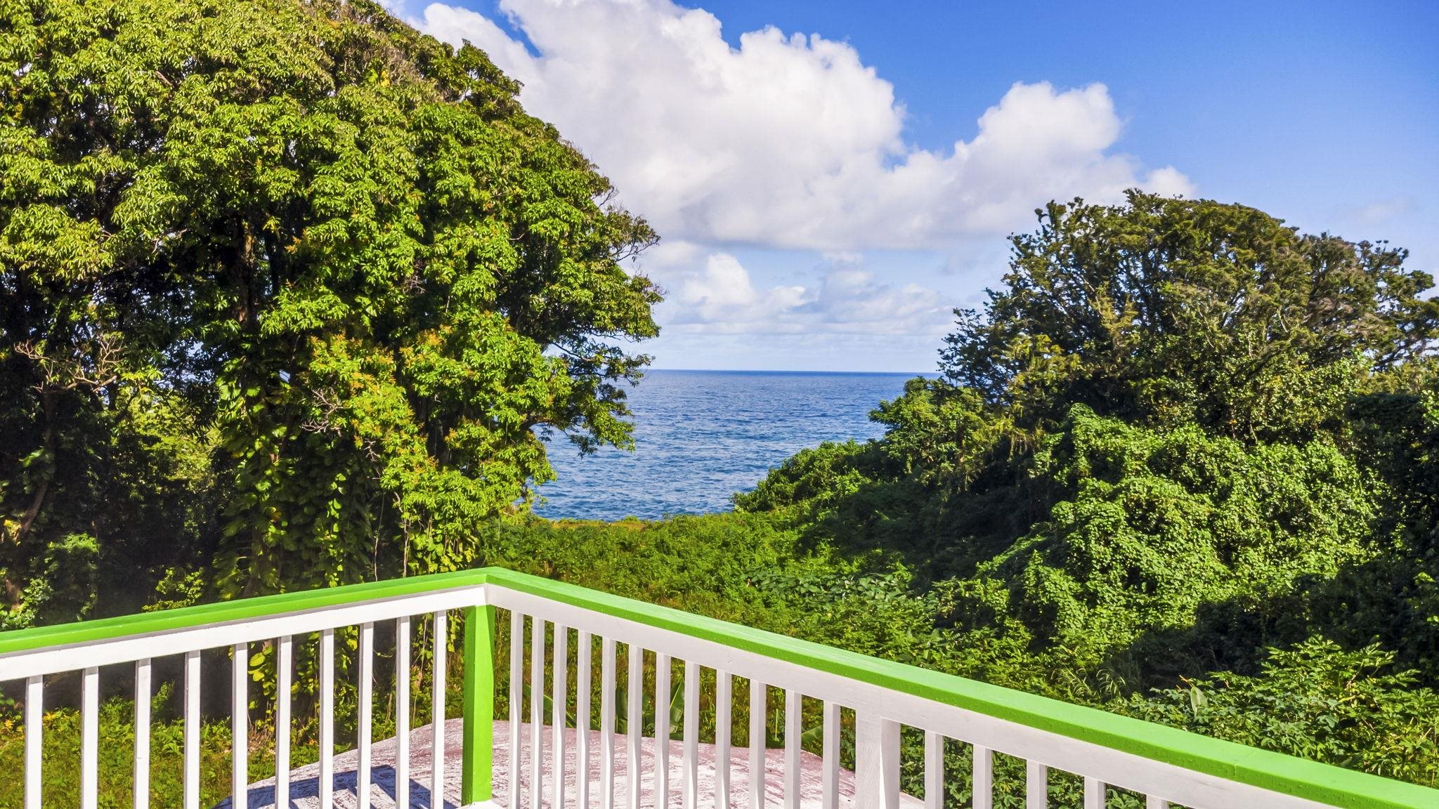 2 Homes on Just Over an Acre of Land in Nahiku, Maui - Hawaii Real ...