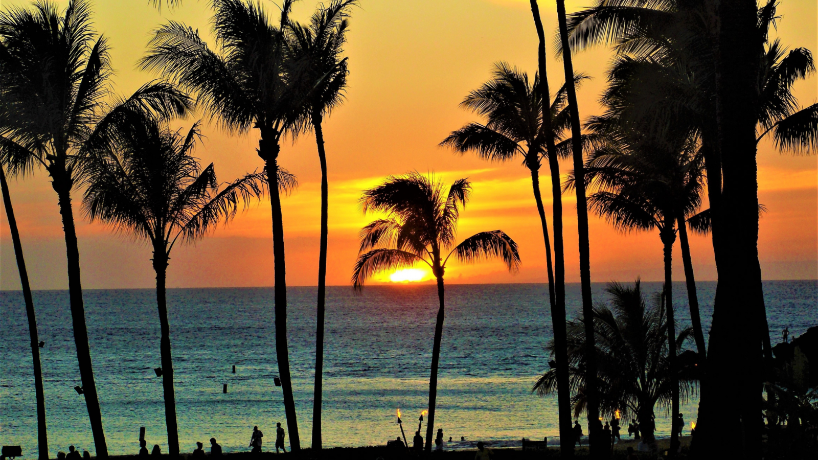 The Top 7 Things To Do in Maui’s Kahana/Kāʻanapali/Kapalua Area ...