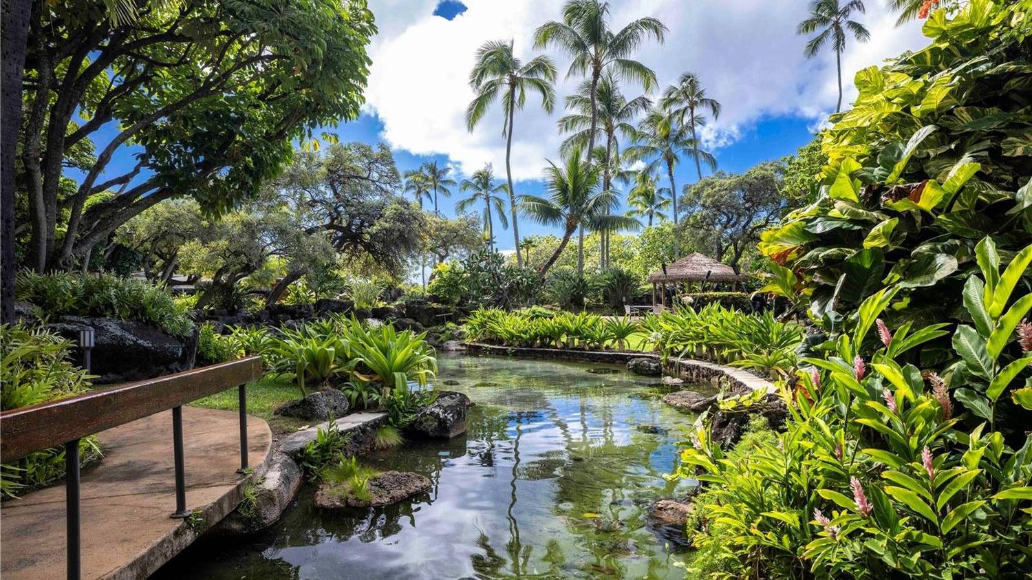 Refresh and Reimagine This Mauna Luan Penthouse Gem - Hawaii Real ...