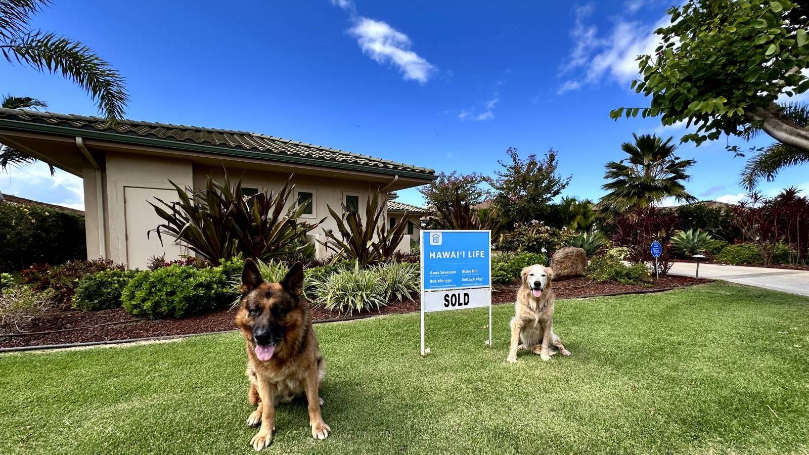 Lanikeha Ka'anapali 2025 Update - Hawaii Real Estate Market & Trends ...