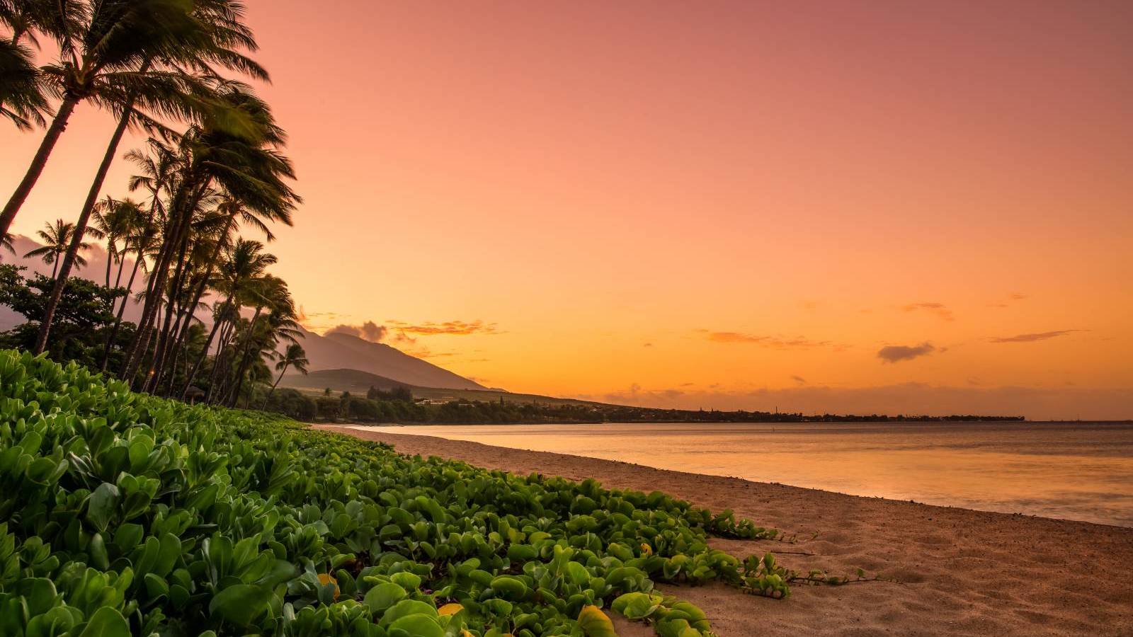 So You Want To Live in Hawaii - Hawaii Real Estate Market & Trends ...