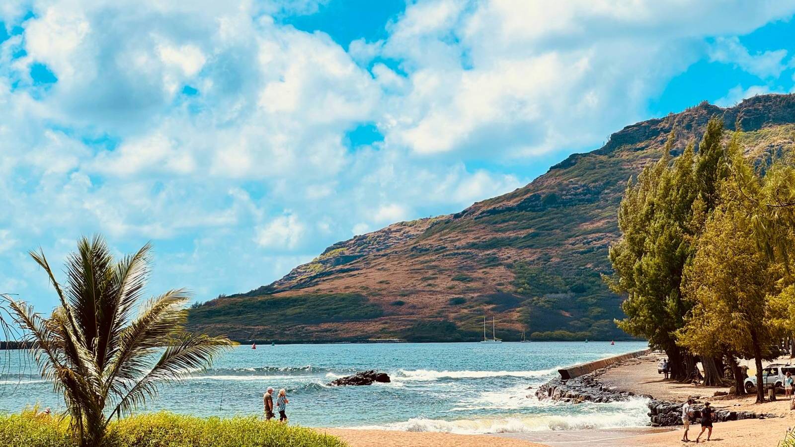 Kauai Real Estate 2024 Recap: Sales, Prices, and Key Market Trends ...
