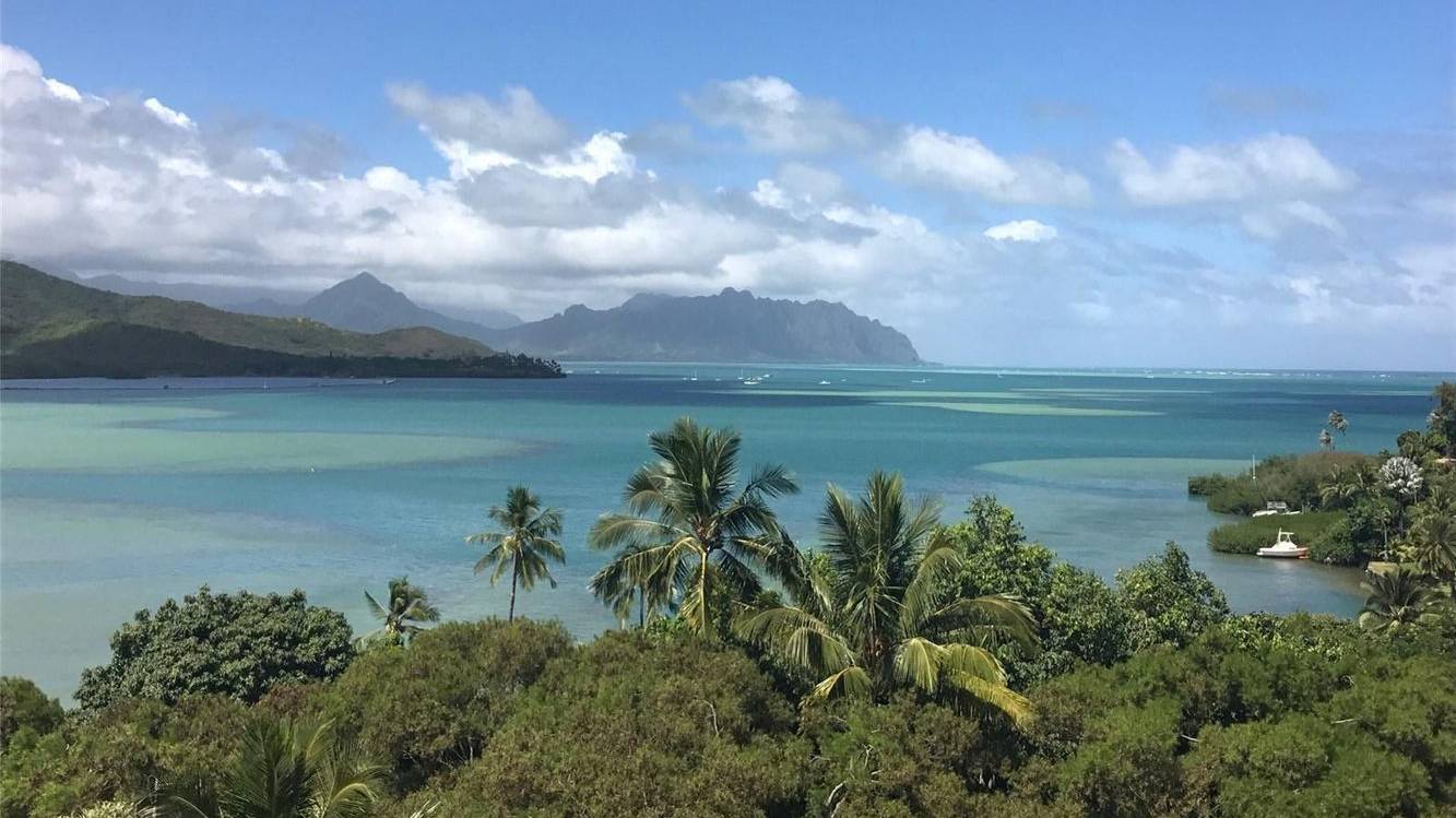 Spectacular Views & Tranquil Living at Poha Kea Point 4 - Hawaii Real ...