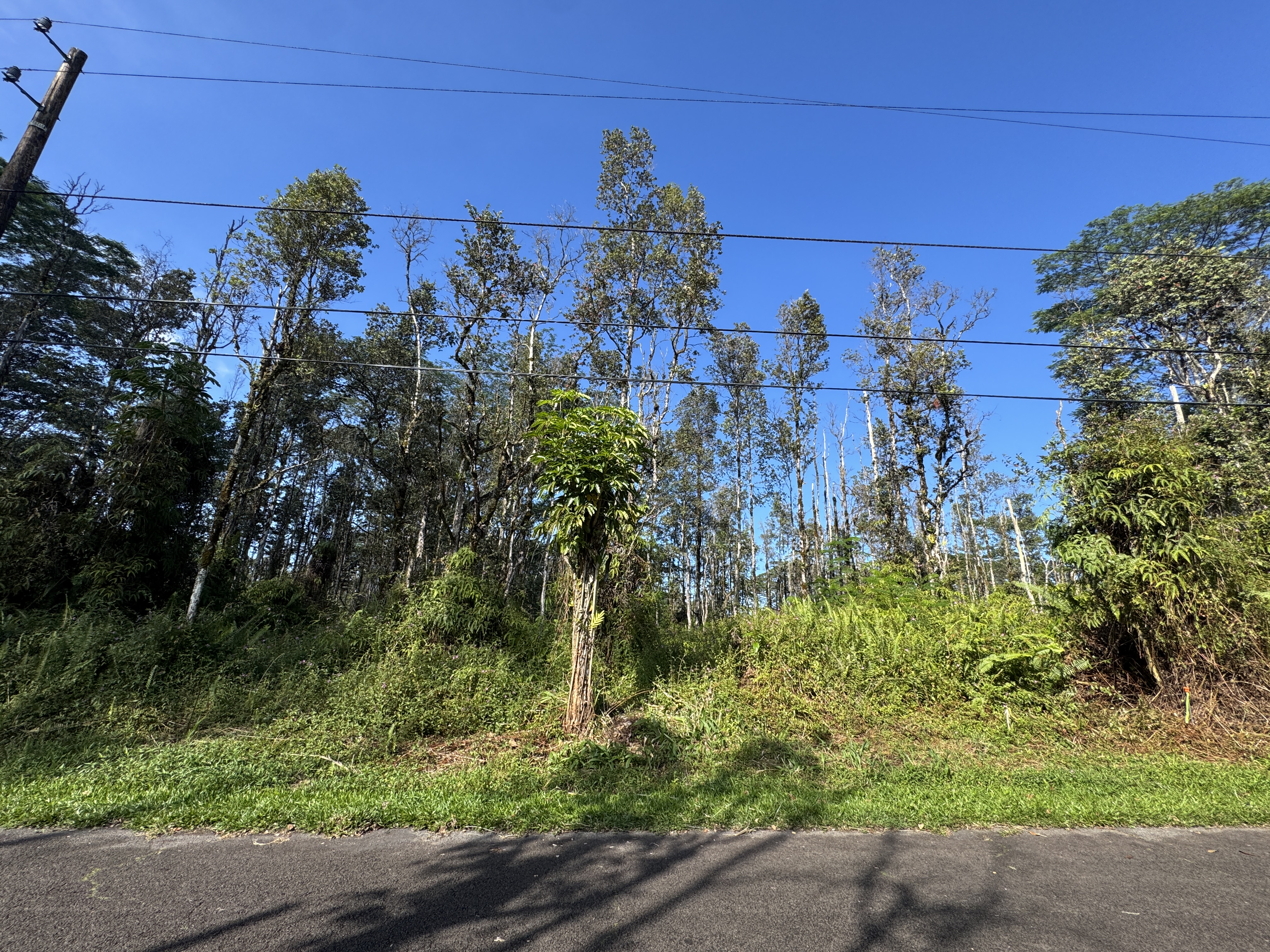 Affordable Back-to-Back Lots in Lush Nanawale Estates - Hawaii Real ...