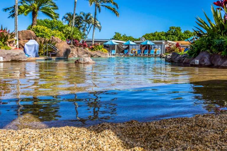 Kiahuna Plantation Unit 440, Just a Short Walk to the Beach - Hawaii ...