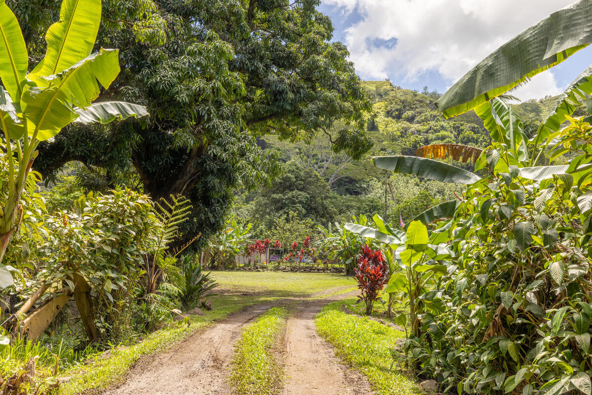 Rare Opportunity To Own the Lowest-Priced Land Listing on Kauai’s North ...