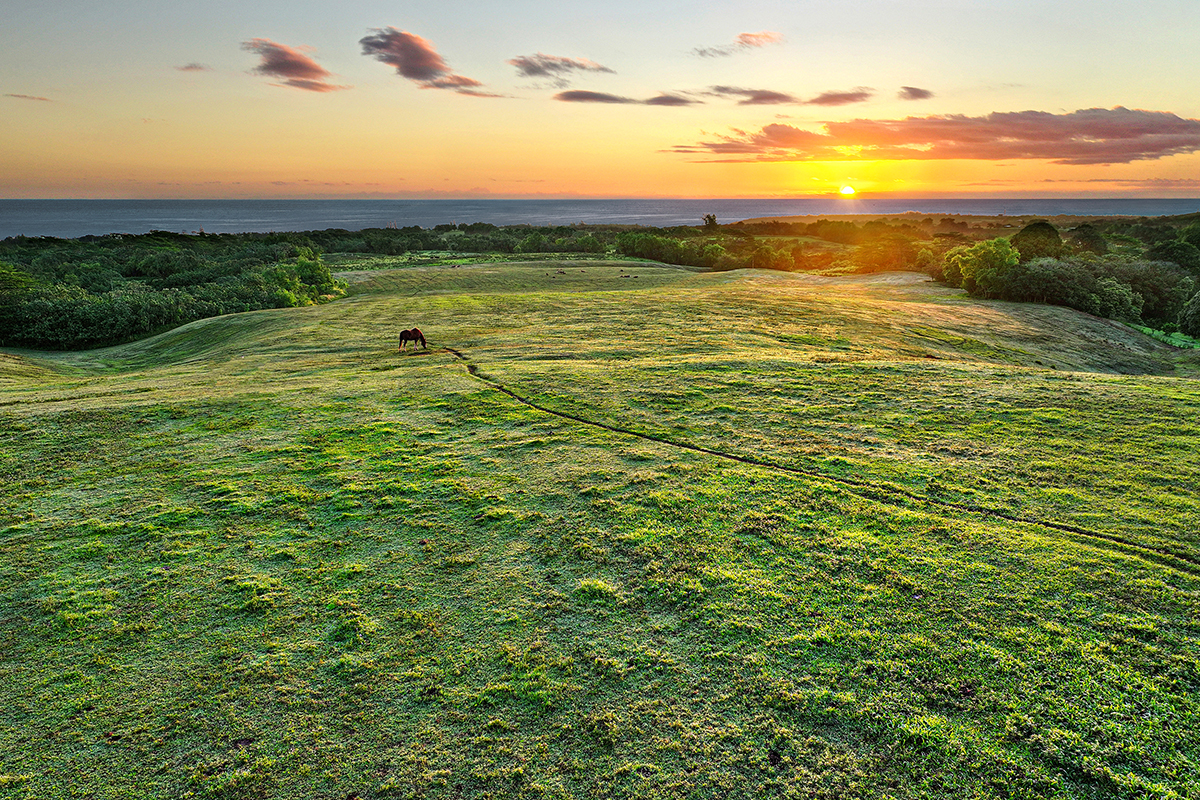 Exceptional 31.96-Acre Estate Parcel on the North Shore of Kaua’i ...
