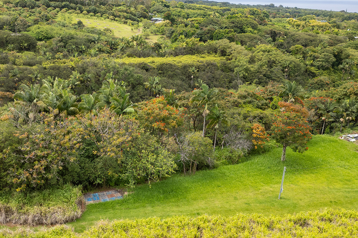 Beautiful Lot on Puumoi Road on Papaikou - Hawaii Real Estate Market ...