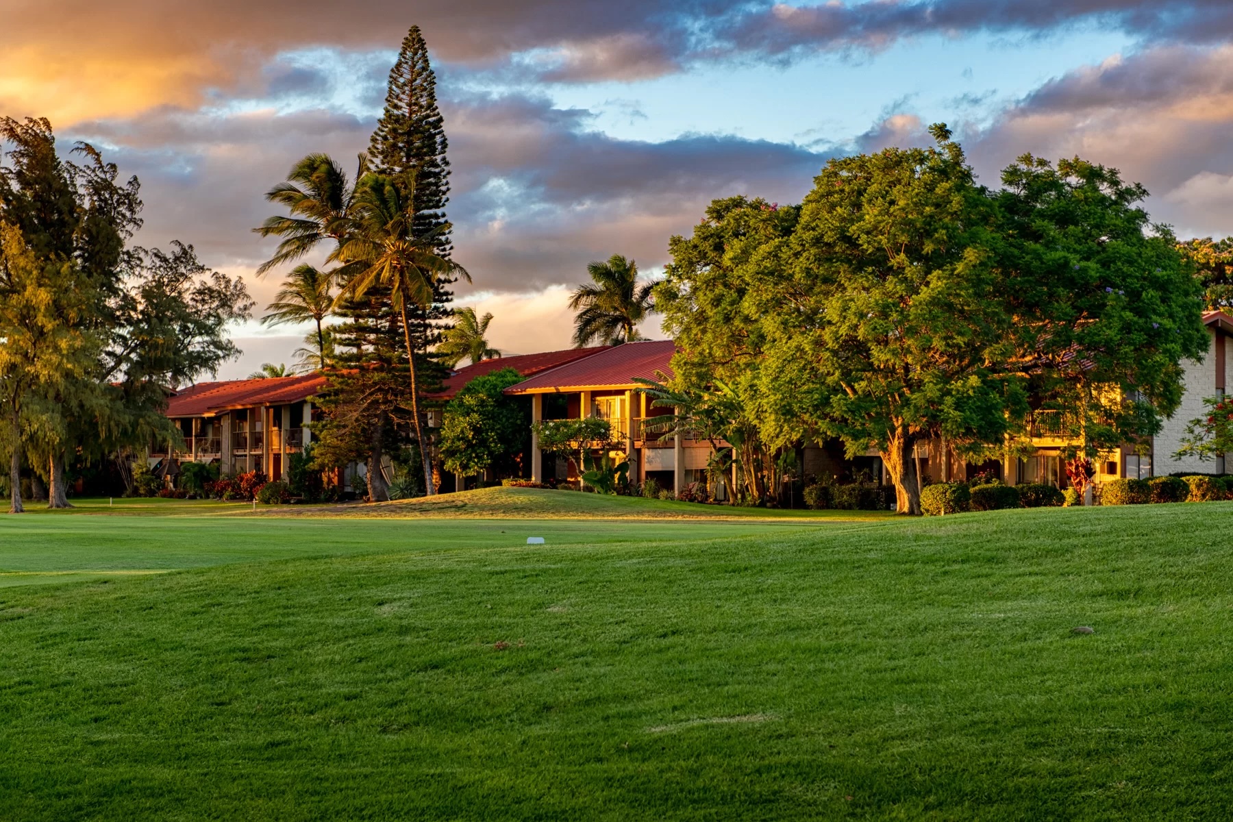 Vacation Rentals: What Big Island Homeowners Need to Know About Short ...