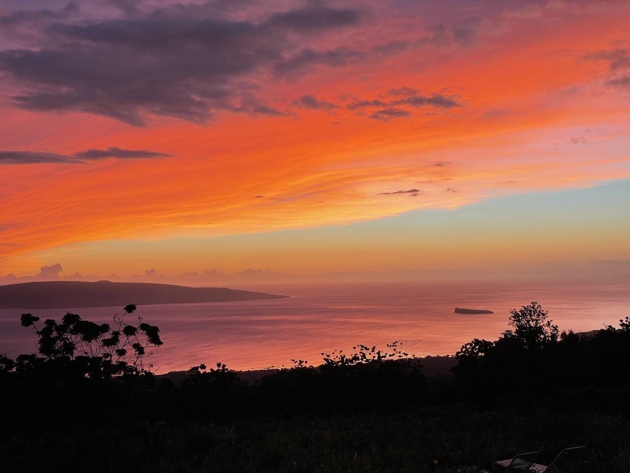 2.8 Acre World of Wonder in Ulupalakua - Hawaii Real Estate Market & Trends | Hawaii Life