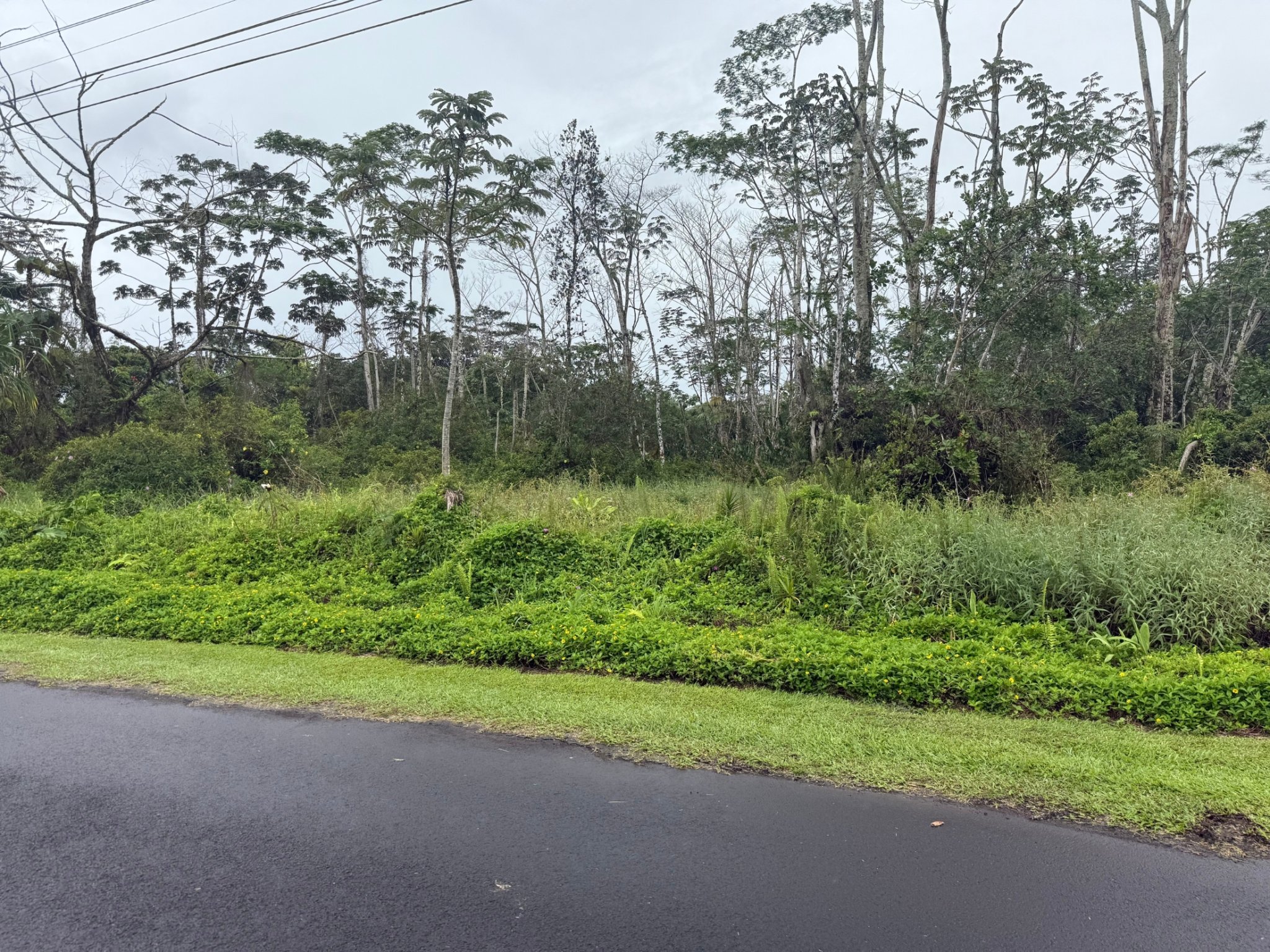 Build-Ready Lot Near the Front of Hawaiian Beaches Subdivision - Hawaii ...