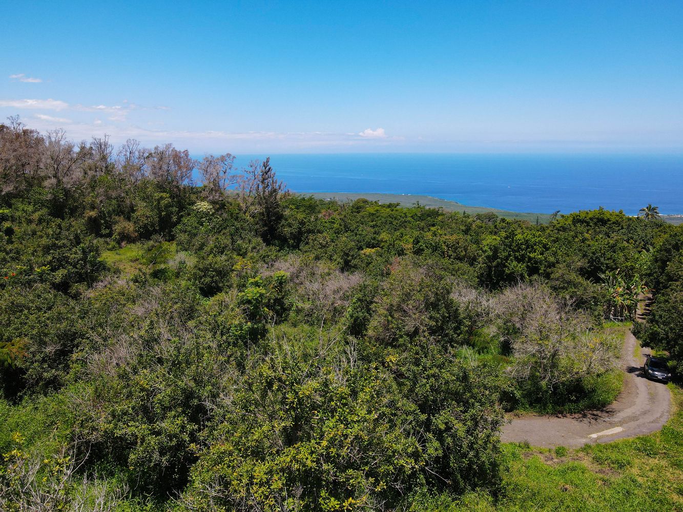 Macadamia Orchard Acreage in South Kona with Long-Term Lease - Hawaii ...