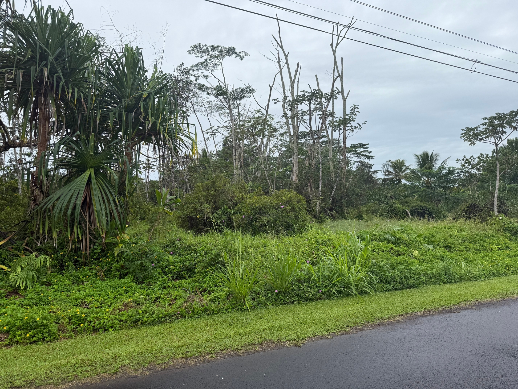 Build-Ready Lot Near the Front of Hawaiian Beaches Subdivision - Hawaii ...