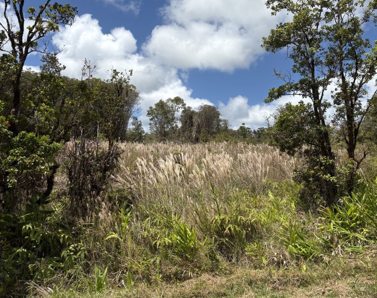 Prime Lot in Pacific Paradise - Hawaii Real Estate Market & Trends ...