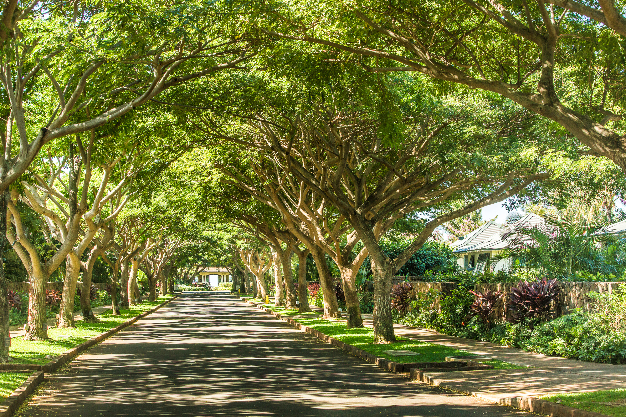 Hawaii Opportunity Zones Update: Time to Buy a Homesite in Kukui'ula ...