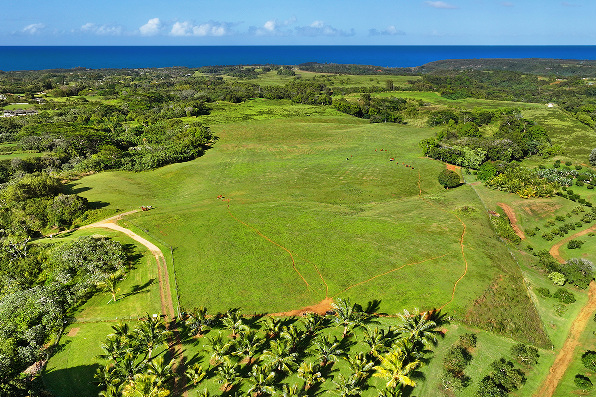 A 32-Acre Keala Ranch Parcel and the Blueprint for a Modern Off-Grid ...