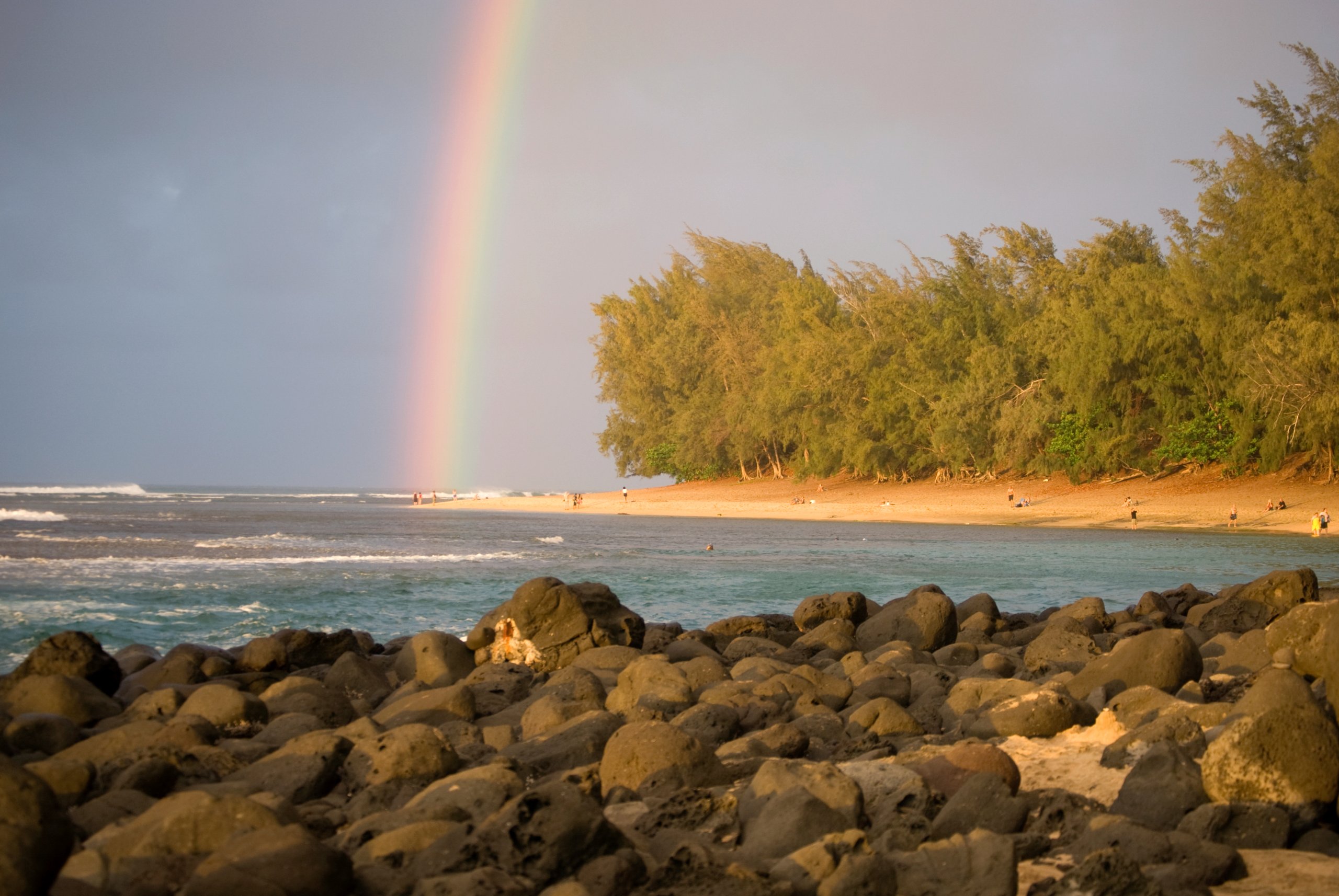 How to Prepare and Cook in an Imu: A Traditional Hawaiian Underground ...