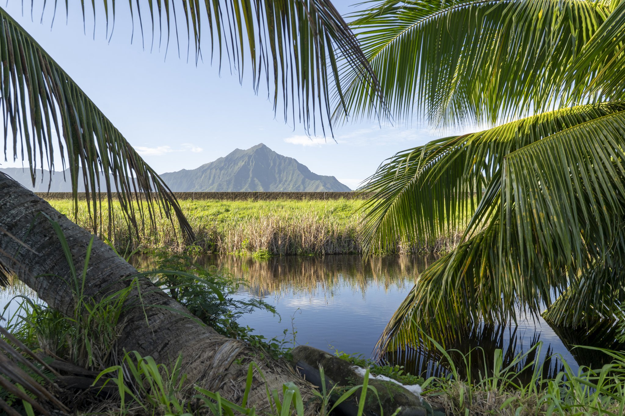 Permit Ready Kailua Builds Part 2: Stormwater Permitting - Hawaii Real ...