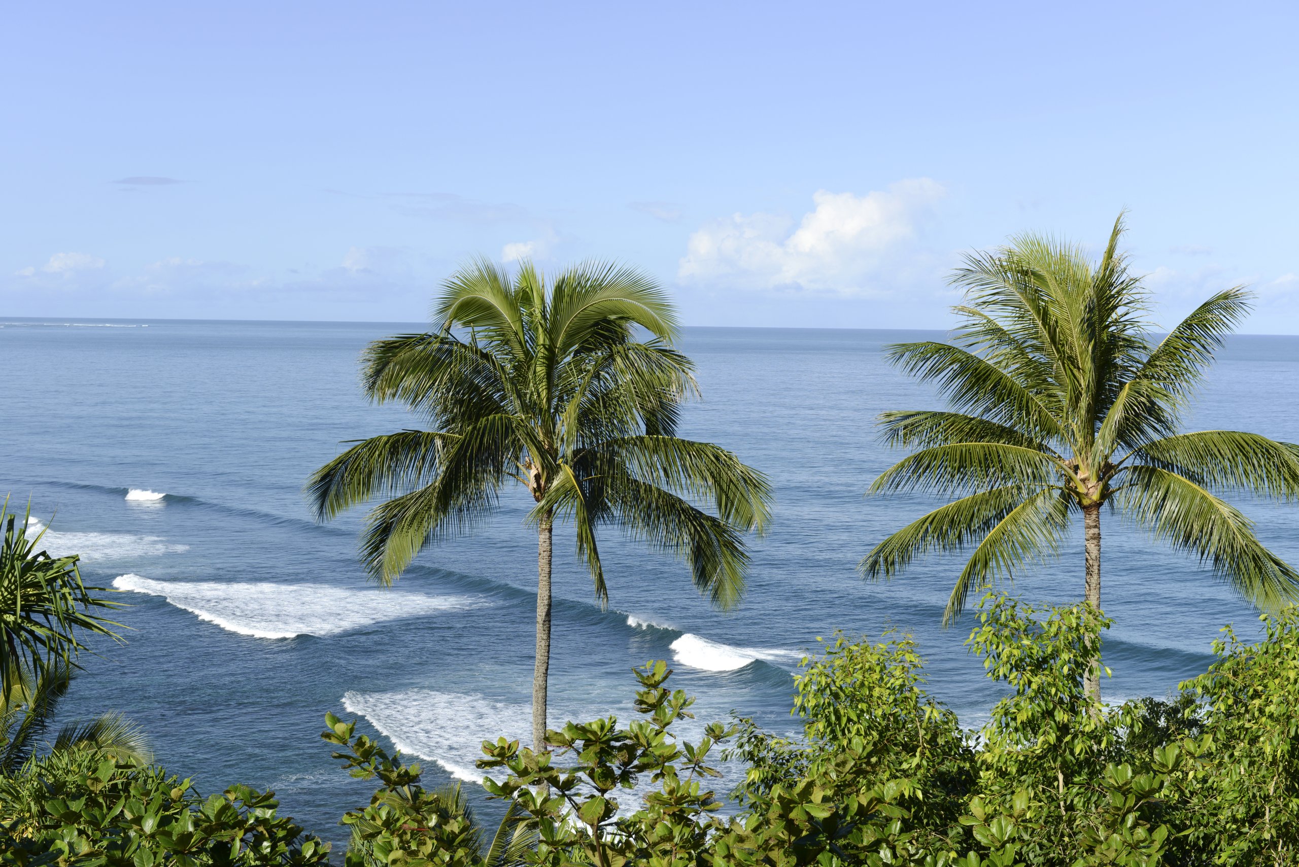 Should You Take Your Vacation Rental Off the Market? - Hawaii Real ...