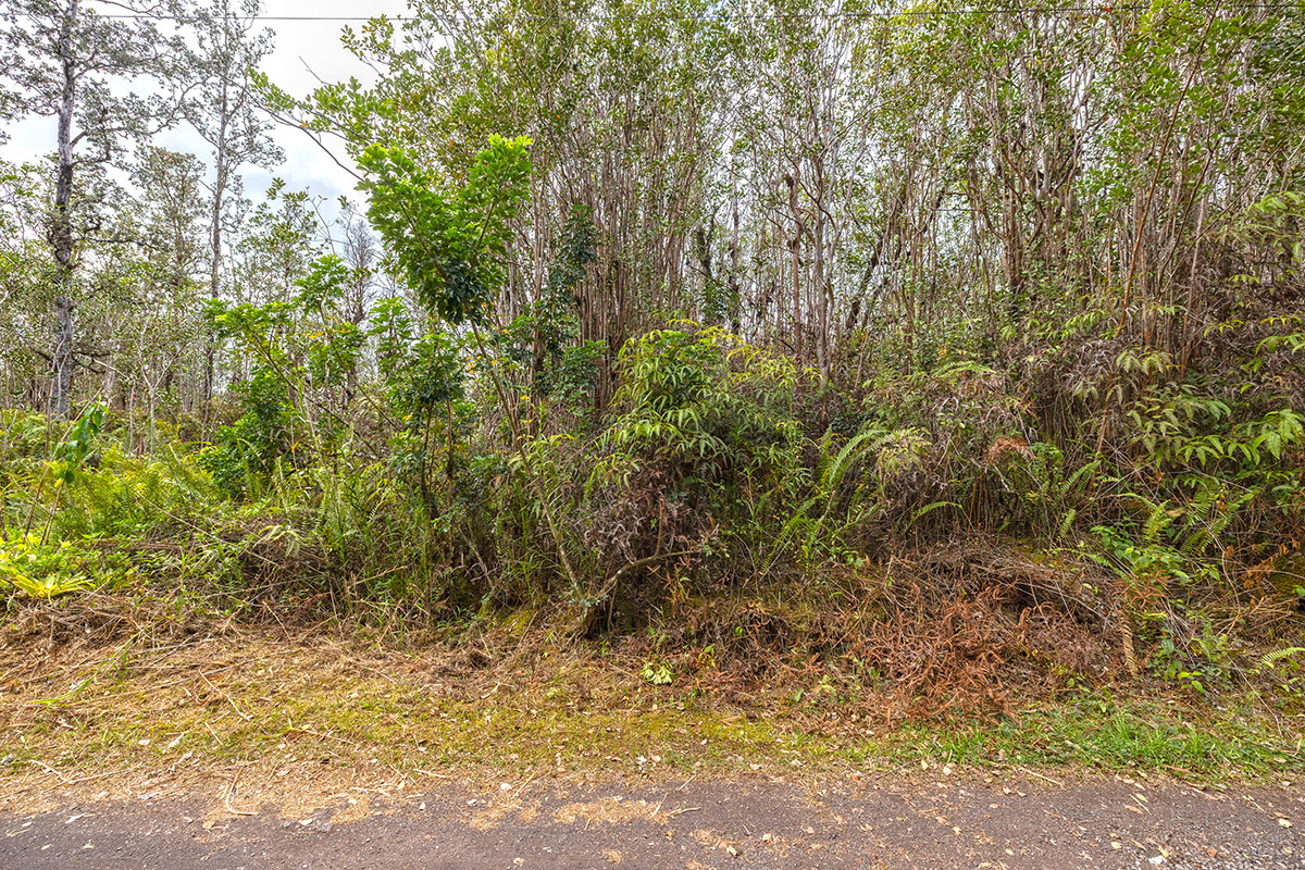 Three-Acre Hawaiian Acres Parcel on Road 5 with No HOA or CC&Rs ...