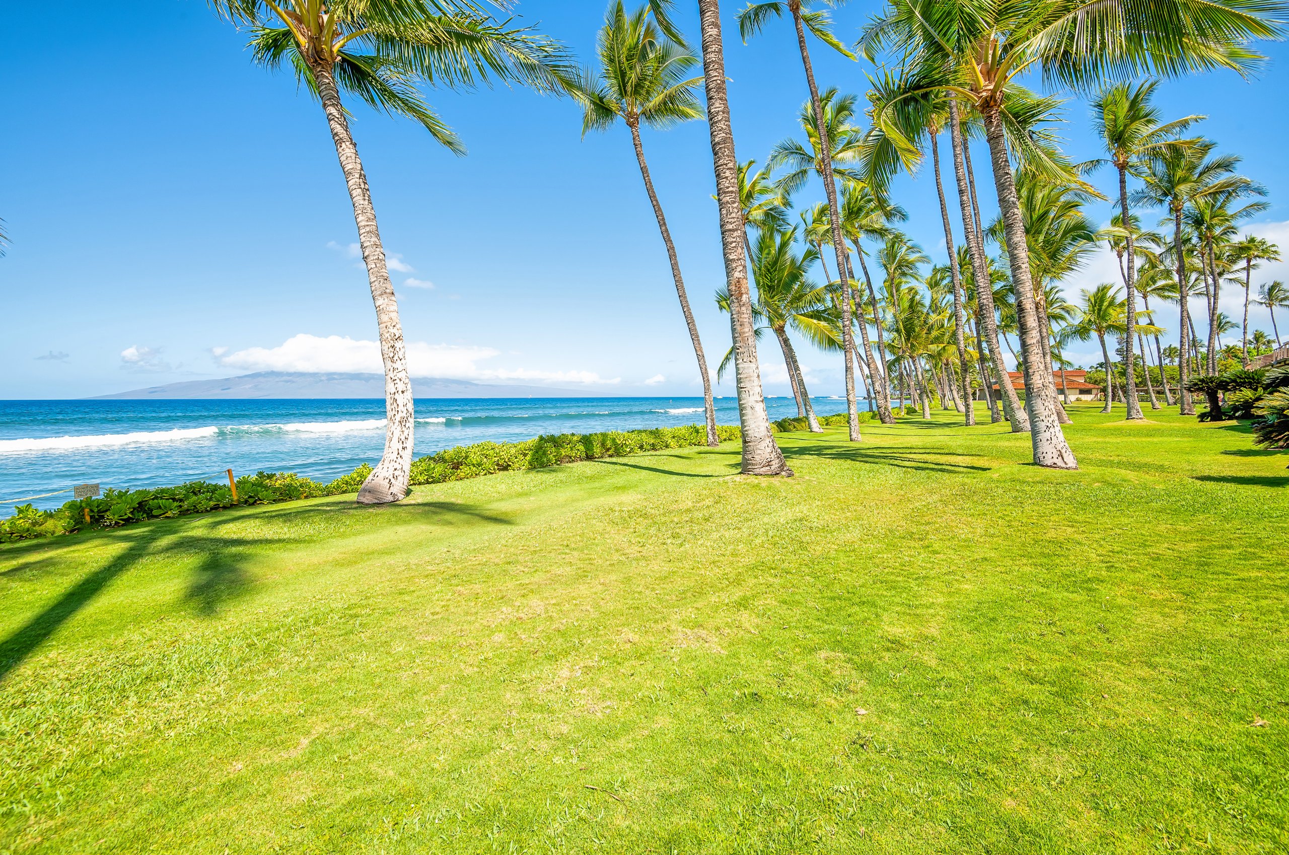 Everything Is So Green: Puamana After the March Storms - Lahaina, Maui ...